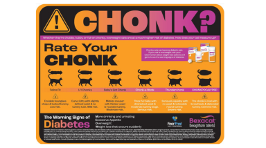 Bexacat™ (bexagliflozin tablets)